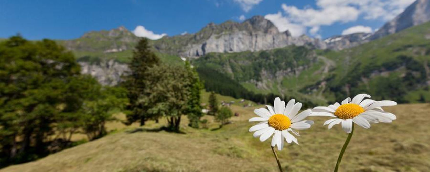 Gemeinde Schattdorf – Uri